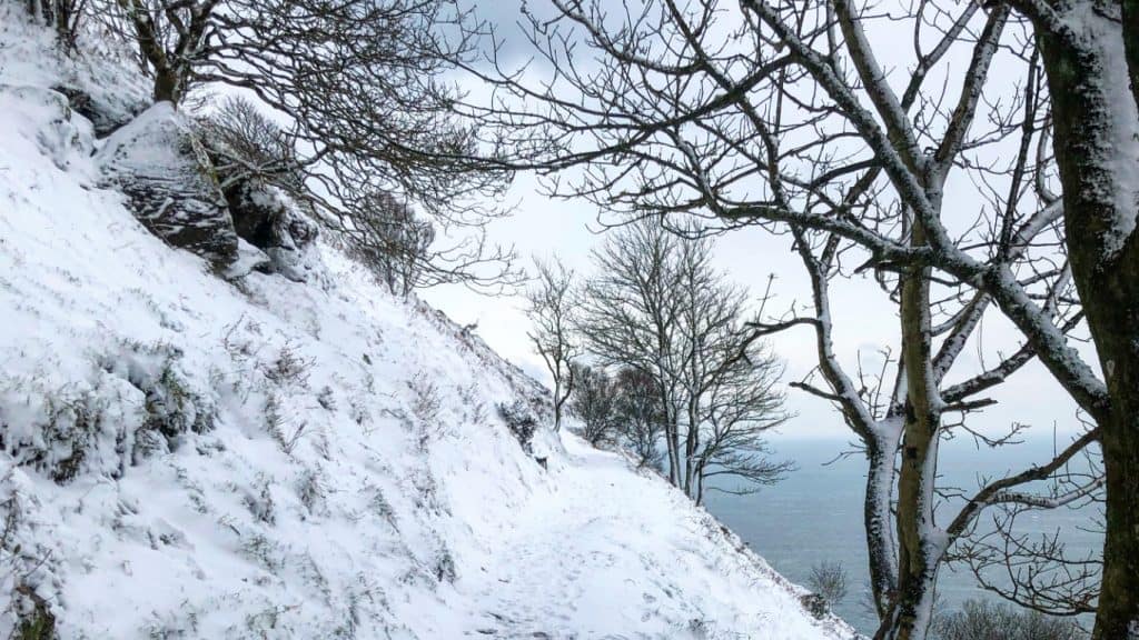 Christmas in Lynton & Lynmouth | Magical Winter Breaks on Exmoor