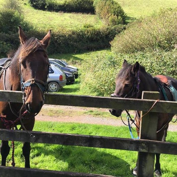 Activities & Things to Do - Visit Lynton & Lynmouth