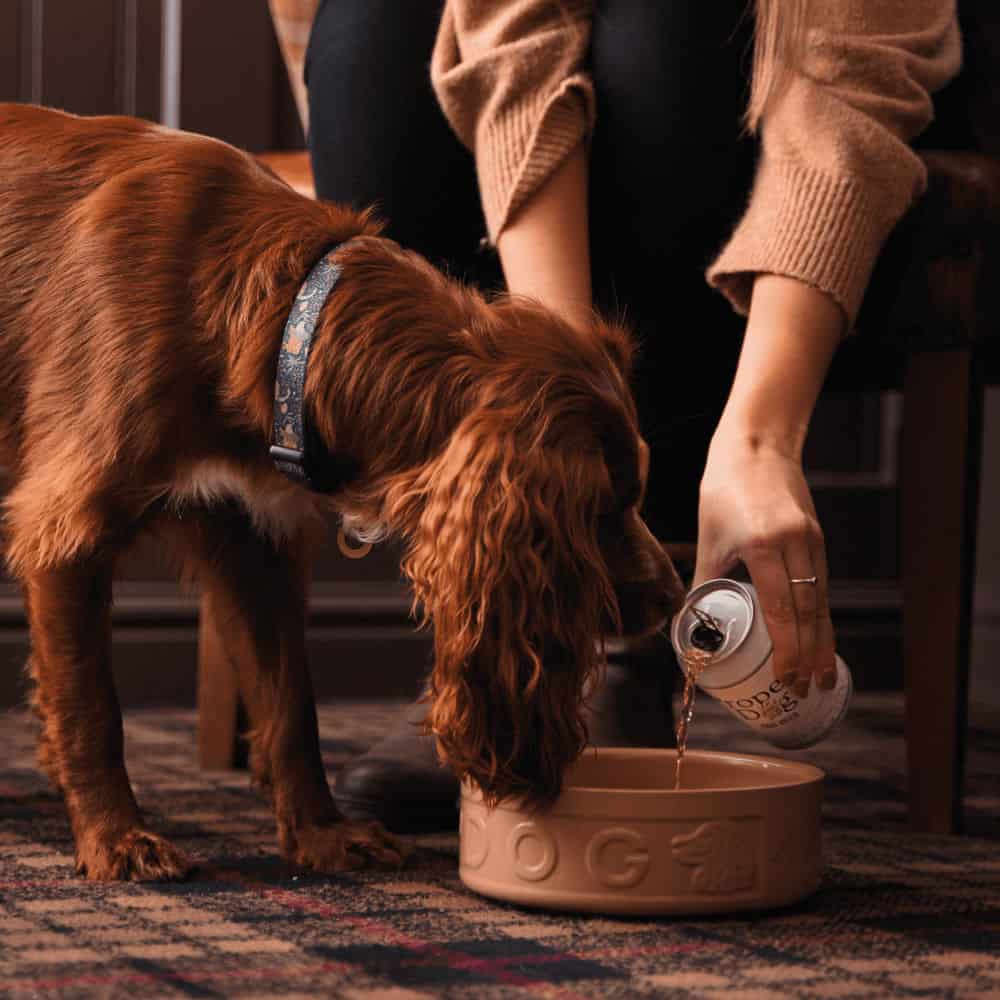 The Blue Ball Inn in Lynton Old Town - Visit Lynton & Lynmouth